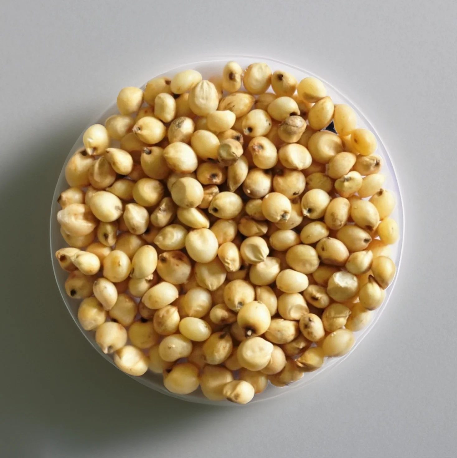 Jawar White - Purean Natural