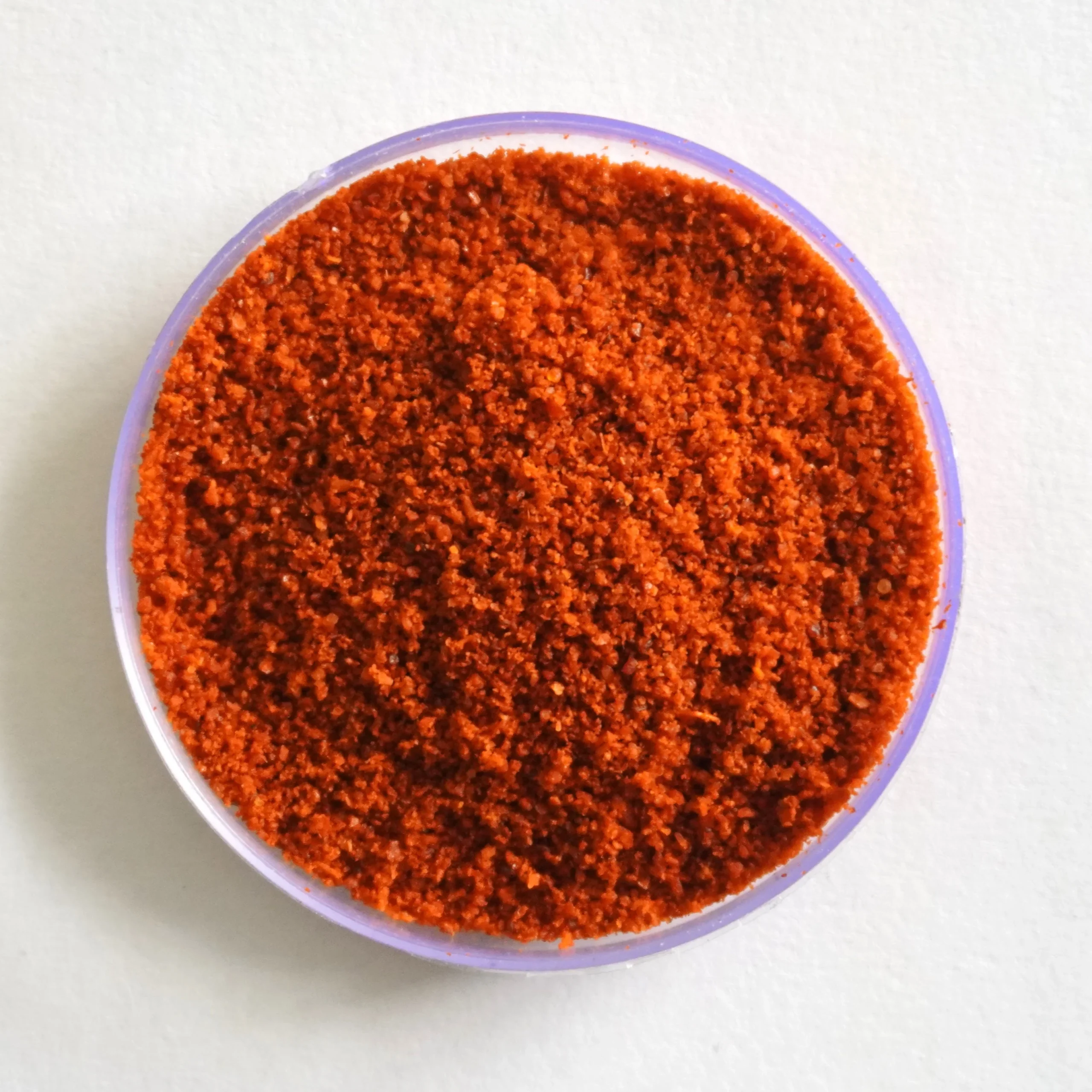 Garlic Dry Chutney (Lehsun Podi) - Purean Natural